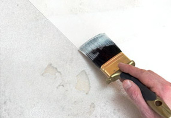 Anti Mould Treatments & Mould Control | Permagard