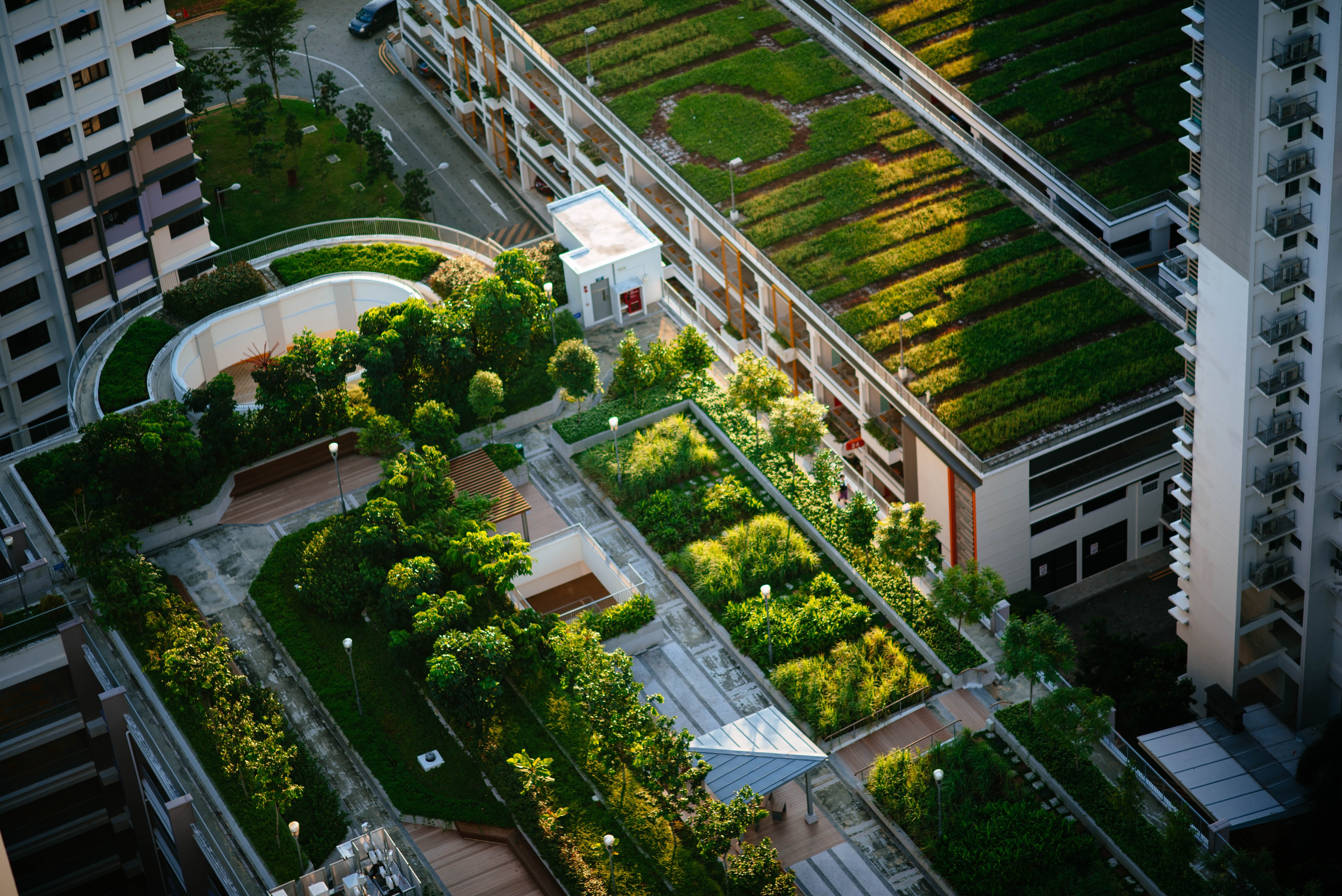 Residential Green Roof Design 3 Rooms, 3 Trees And A Meadow Adorn The