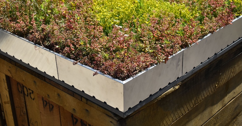 Sedum Roof Extensive Green Roof | ECO BROOKLYN