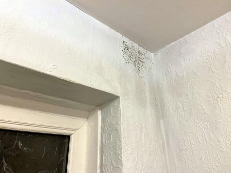 Treating Dampness In Walls | Guide To Dampness Treatments