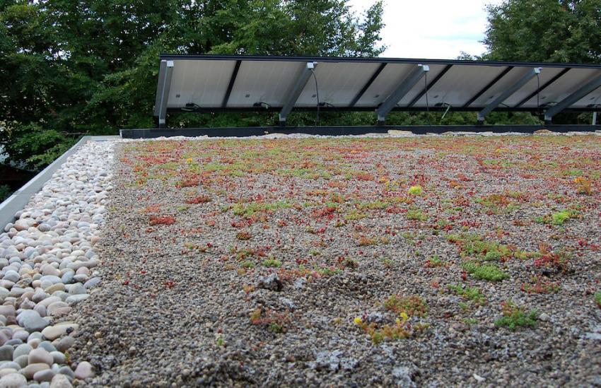 What Is A Green Roof? A Beginners Guide To Living Roofs