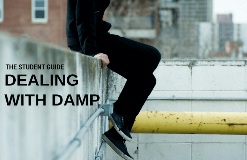 Damp In Student Accommodation | Student Guide To Damp