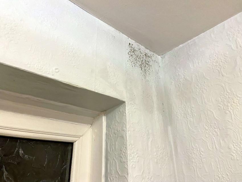 Treating Dampness In Walls | Guide To Dampness Treatments
