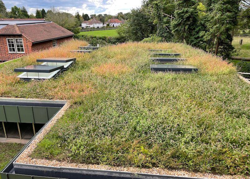 Green Roof On An Extension In East Sussex – Case Study