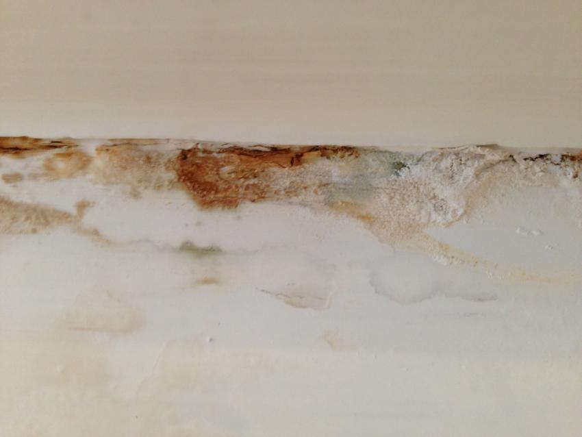 Salts On Walls: Treating Salt Deposits On Walls - Permagard