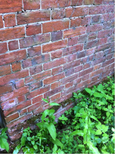 How To Use Damp Proofing Cream to Treat Rising Damp