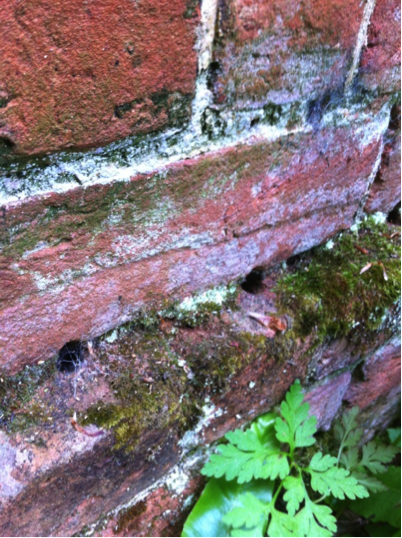 How To Use Damp Proofing Cream to Treat Rising Damp